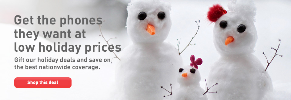 Page Plus Cellular - Prepaid Cell Phone Cards | Prepaid National Cell ...